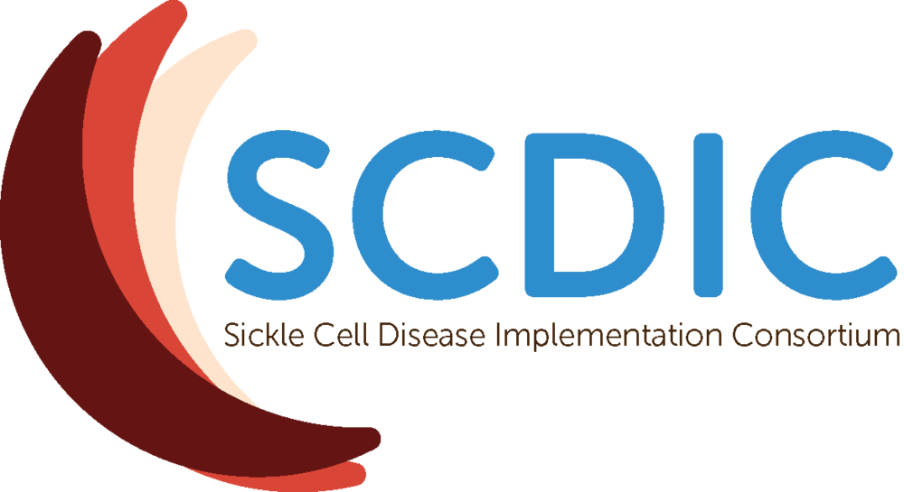scdic-logo-trans – Make It Memorable Consulting Studios